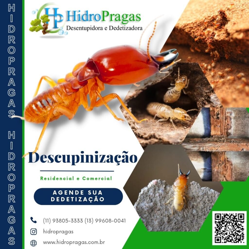 Cupim - O Que São, Tipos E Características! Nós Resolvemos